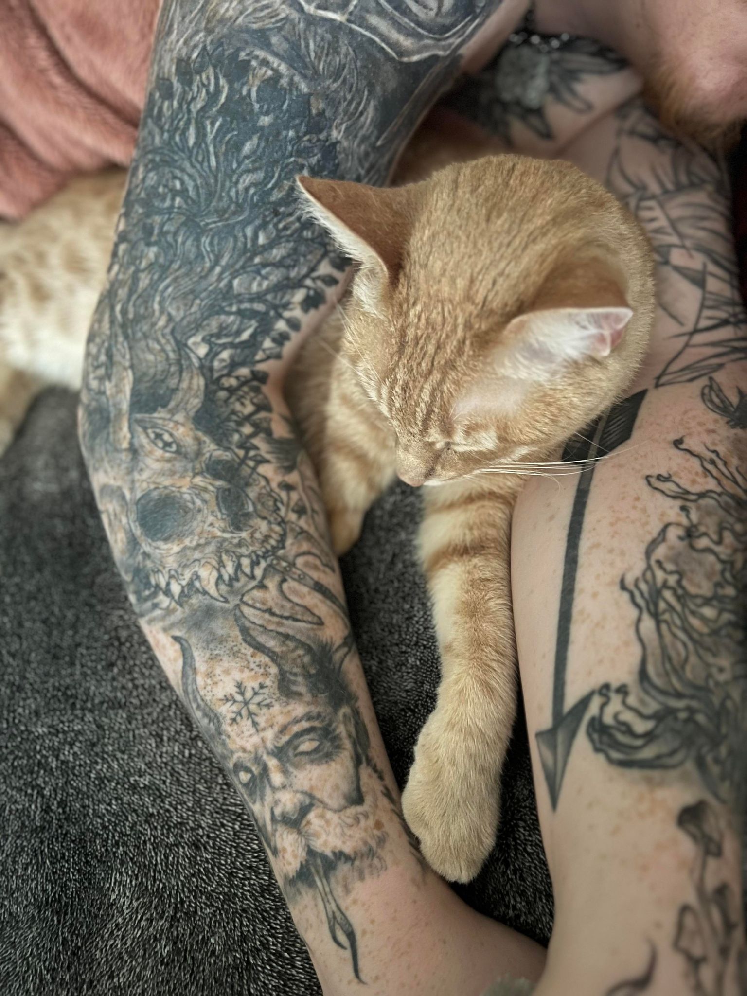 Me and Fox cuddling | Scrolller