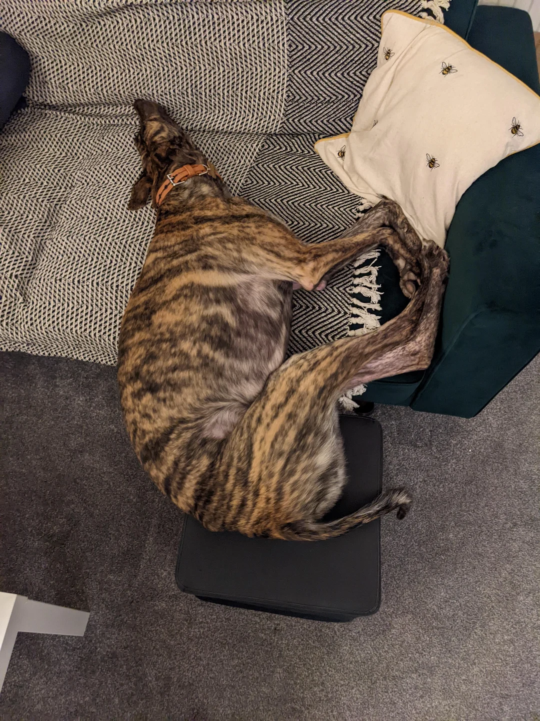 Balancing act 😂 | Scrolller