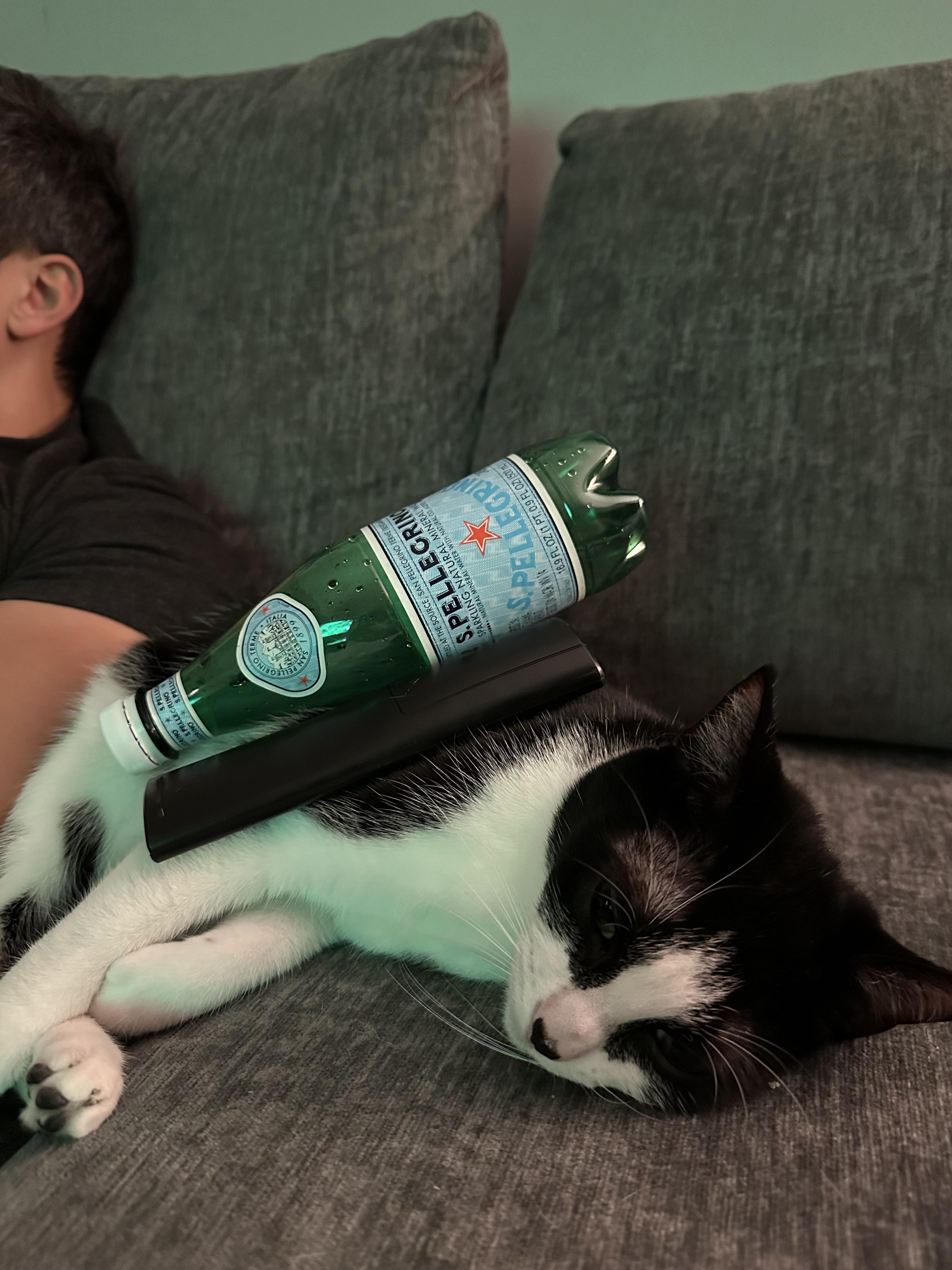 Remote and Pellegrino on Molly. | Scrolller