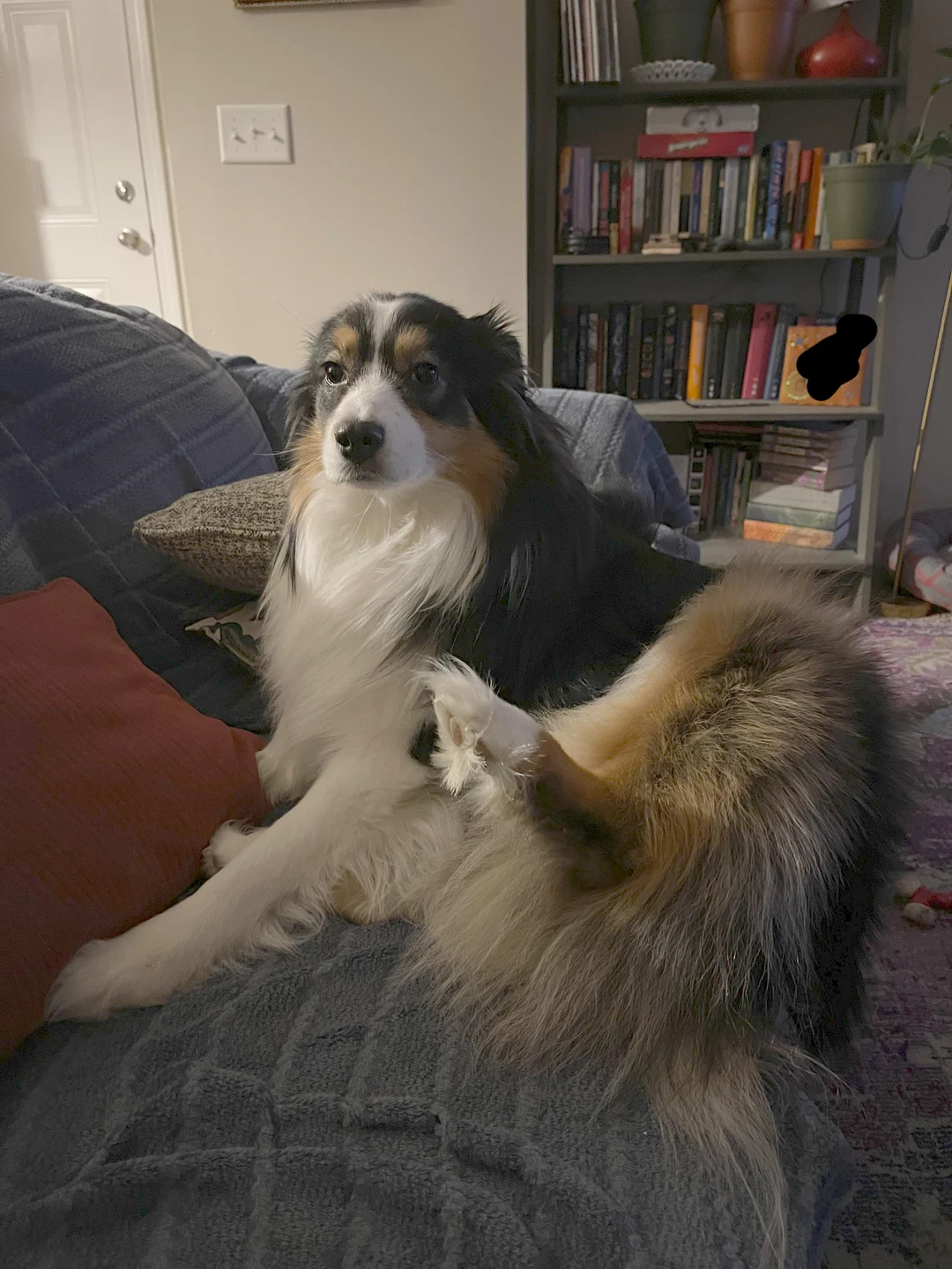 Confusion? | Scrolller