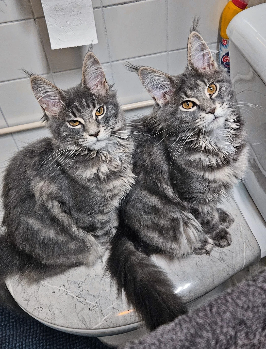 Spot the difference! | Scrolller