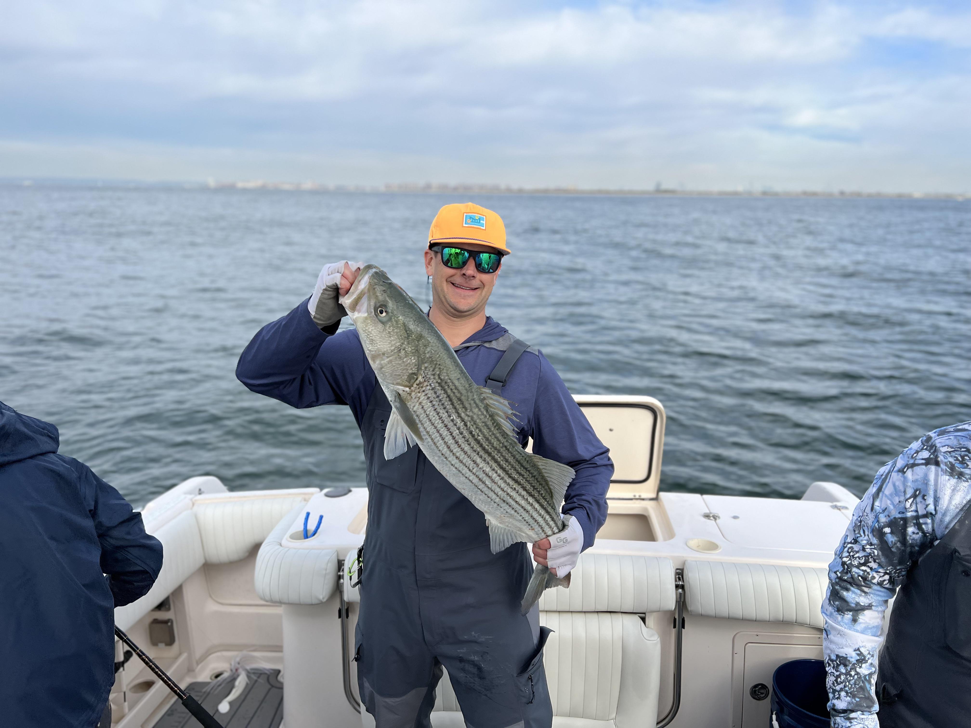 Striped Up! | Scrolller