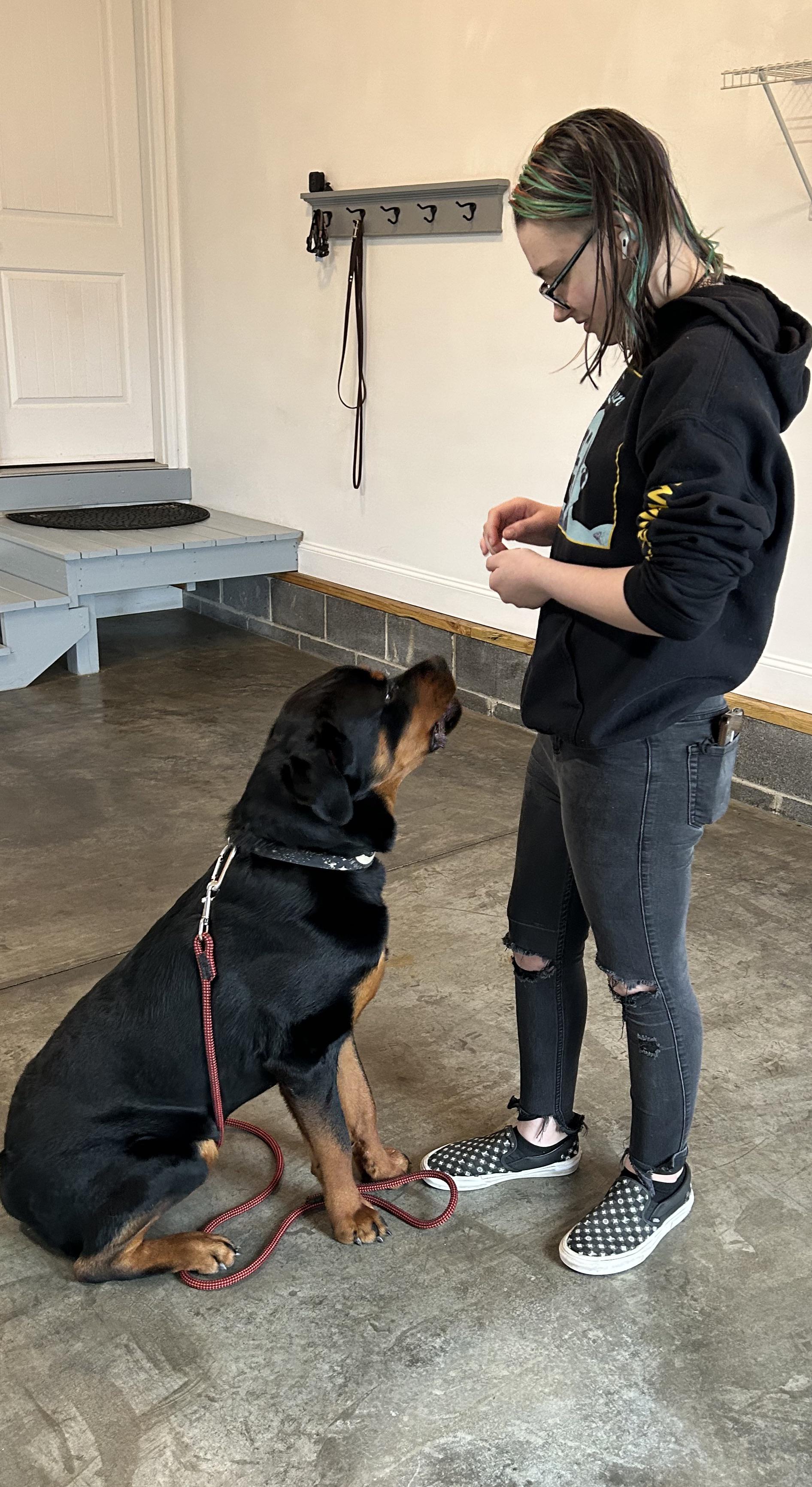 Padfoot in training | Scrolller