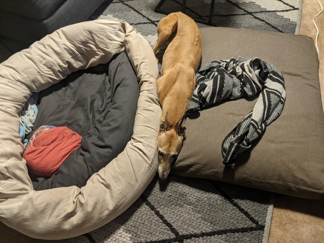 Epic bed fail | Scrolller