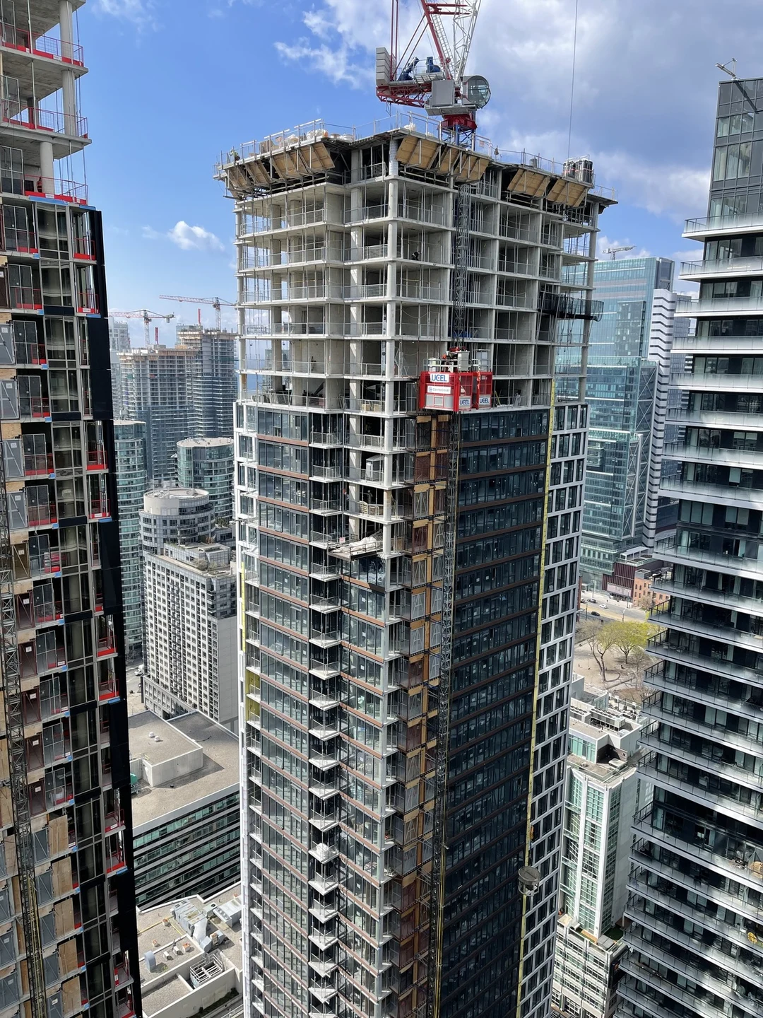 Toronto Rising | Scrolller