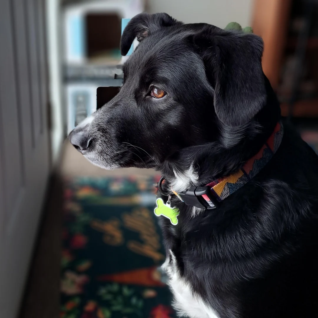 Sweet Sammy. | Scrolller