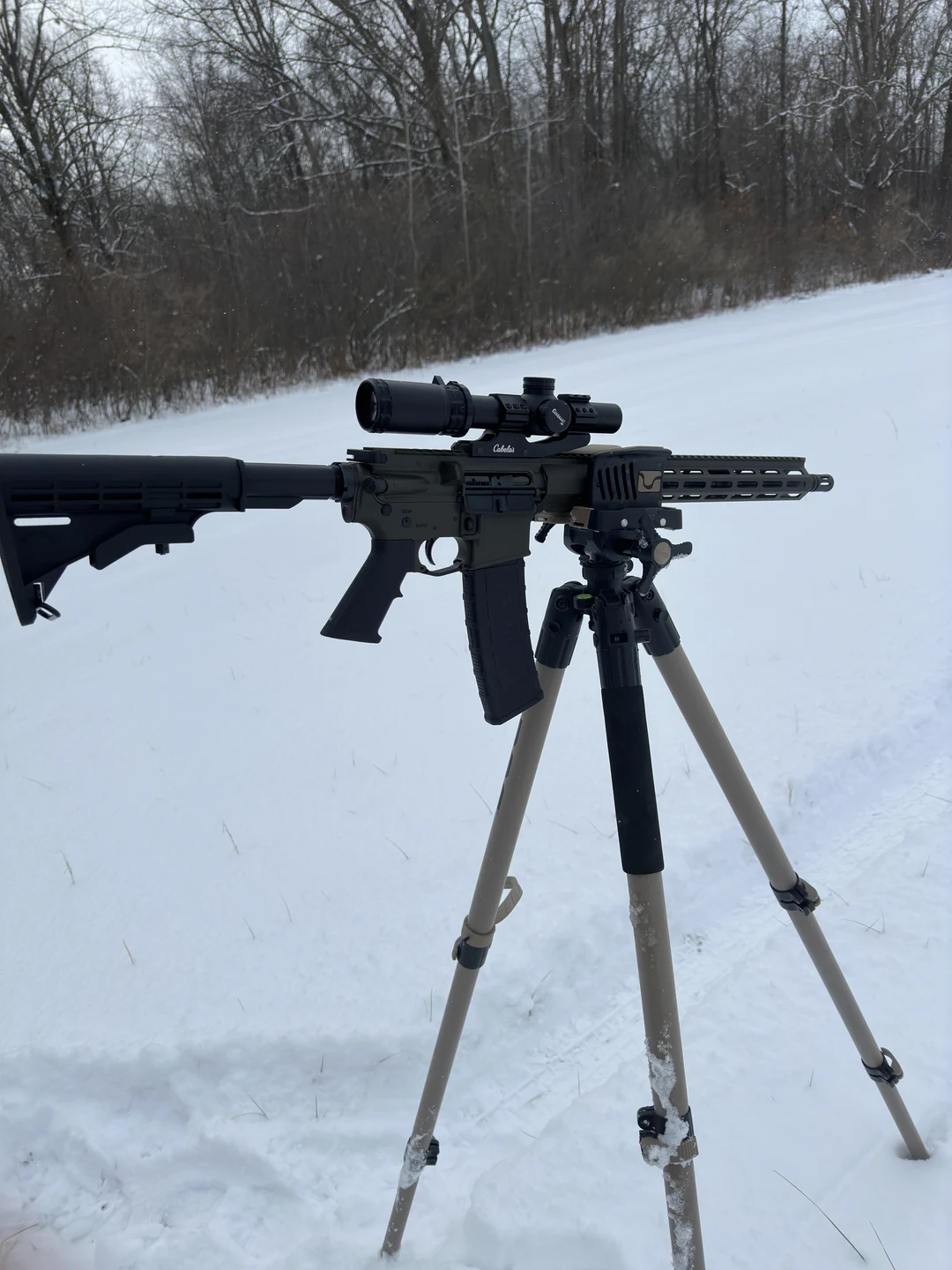 Budget build | Scrolller