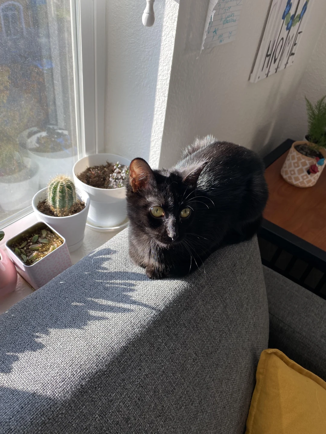 Burnt loaf sitting in the sun | Scrolller