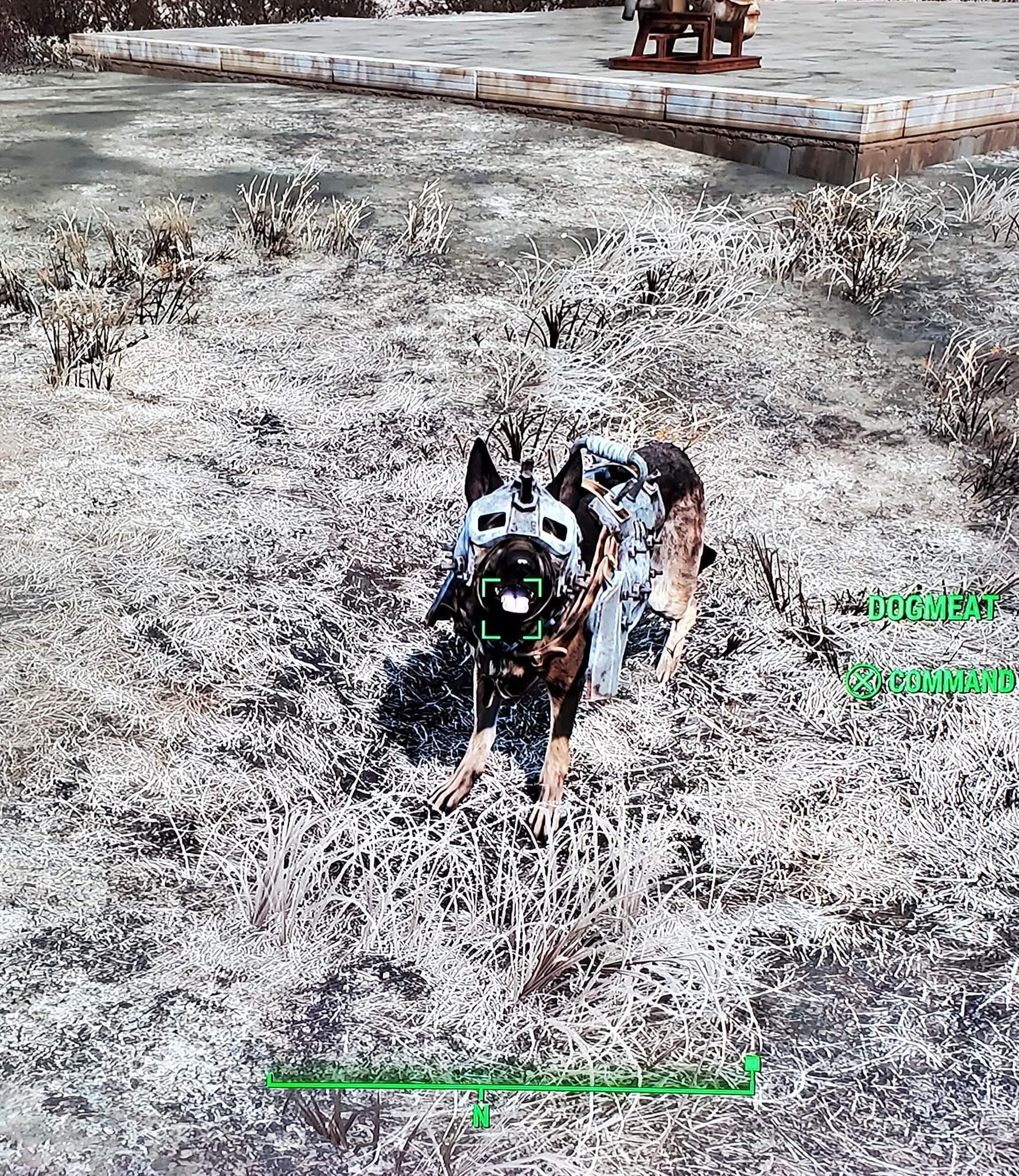 Dogmeat looks so badass decked out with armor. | Scrolller