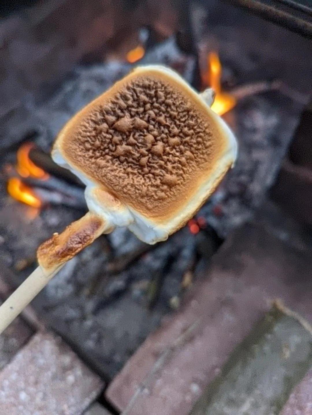 [homemade] Toasted Marshmallow | Scrolller