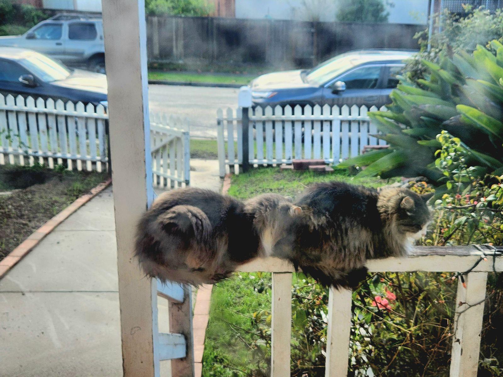 Is this normal? | Scrolller