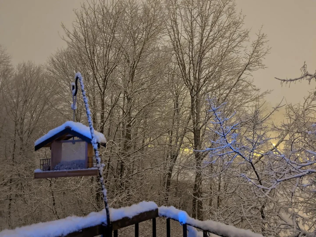 Winter snowfall :) | Scrolller