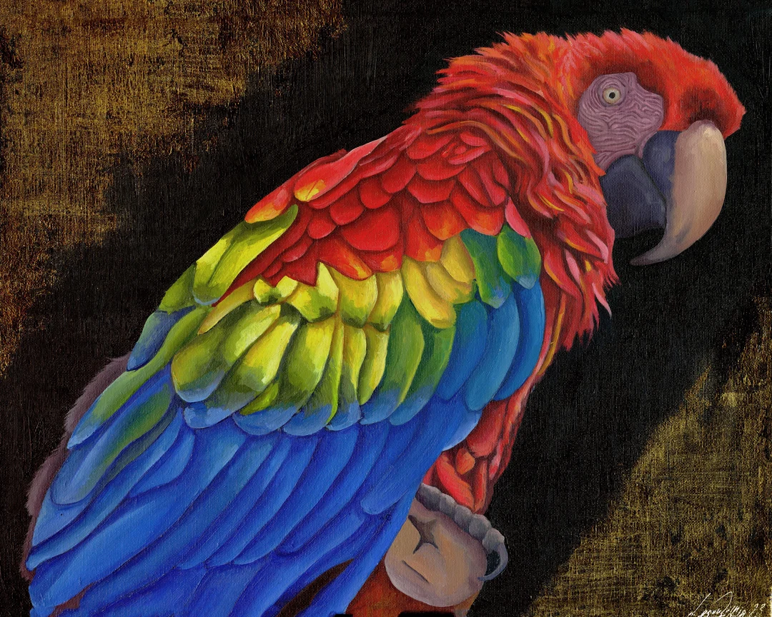Scarlet macaw, Lana wilkin (me), oils, 2023 | Scrolller