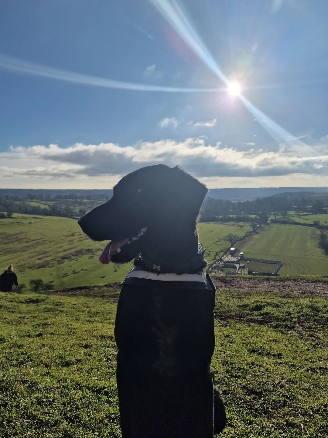 Country walks with this handsome fella! | Scrolller