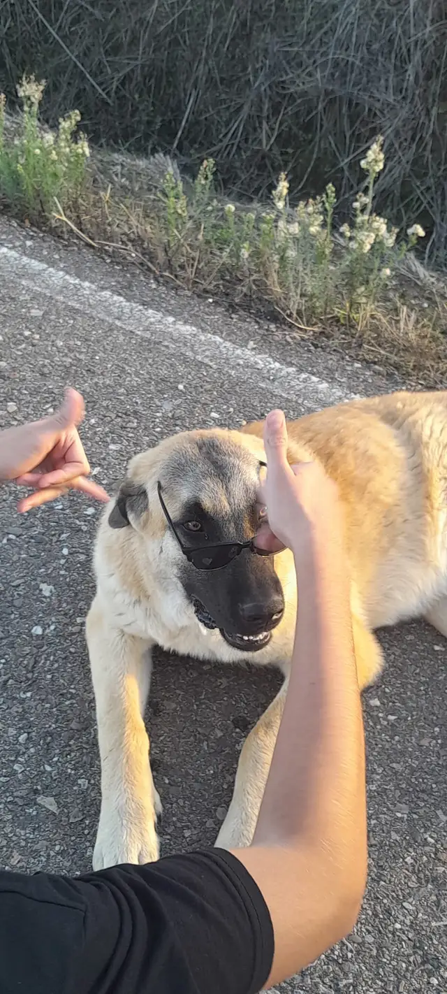 Happy dude | Scrolller