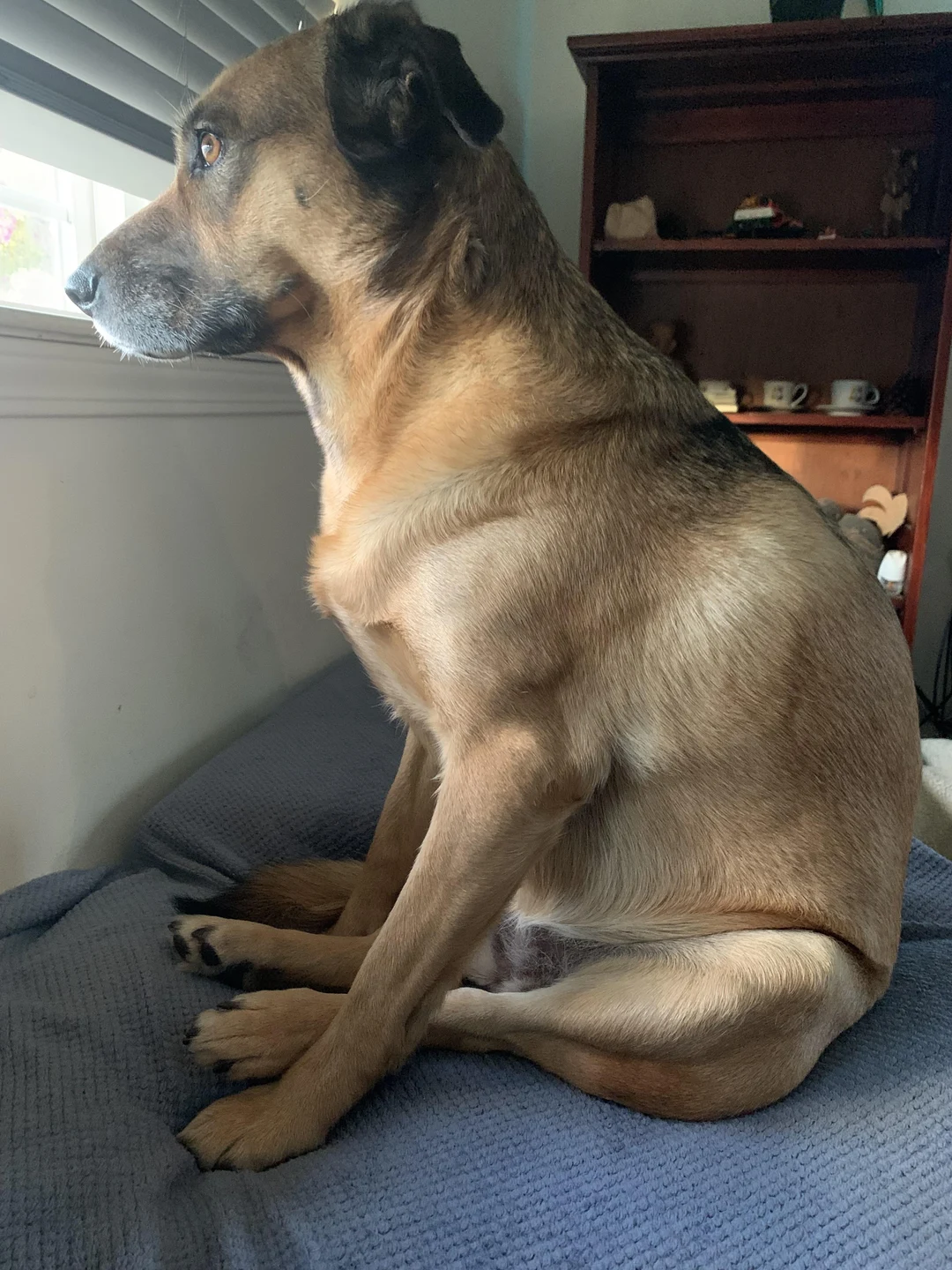 Help me name the style that she sits | Scrolller