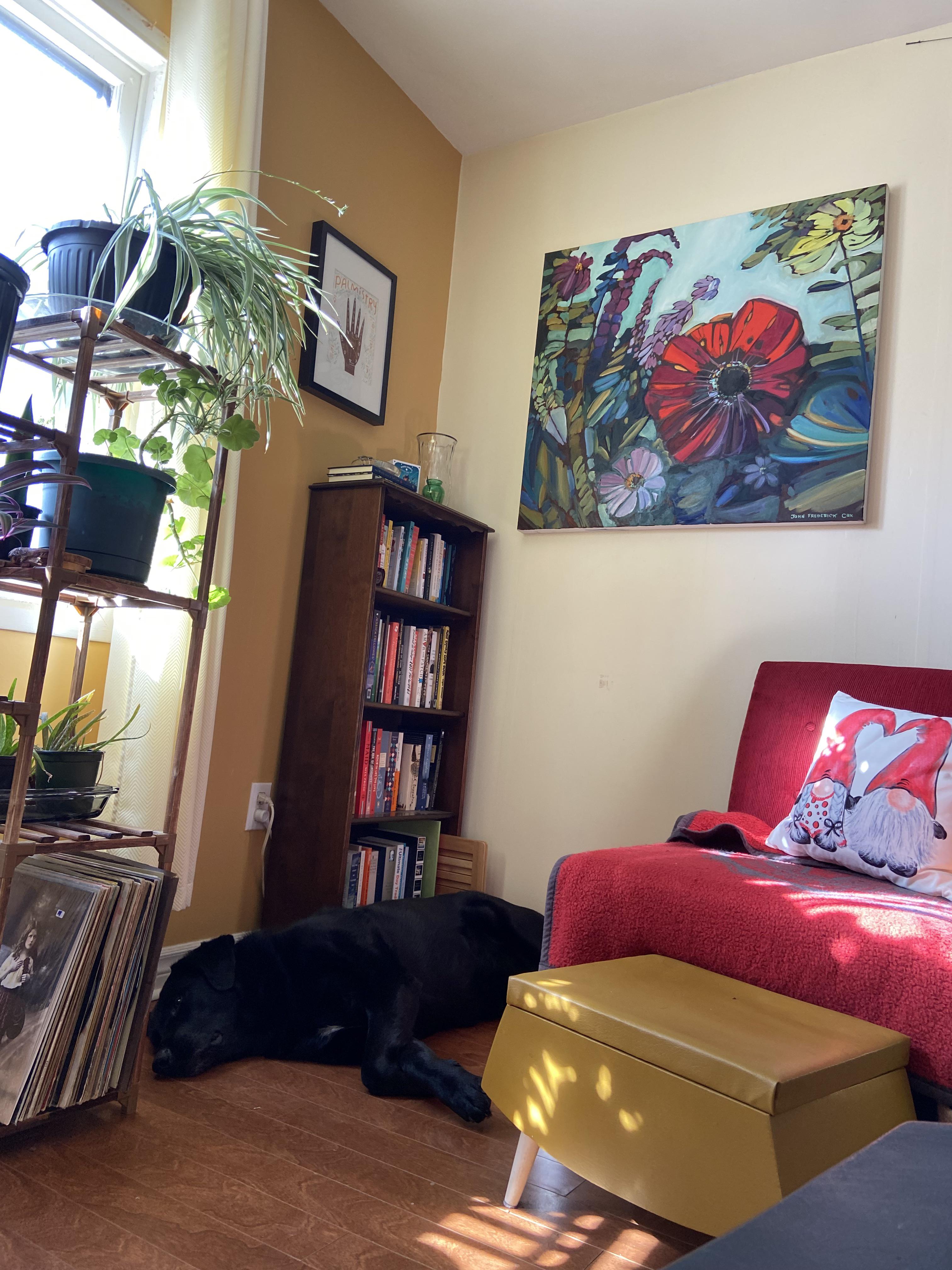 My favourite corner | Scrolller