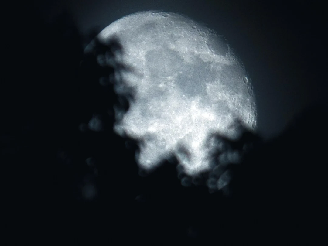 hazy waning gibbous moon rising above the trees - North Carolina. | Scrolller