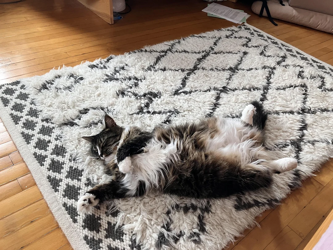 Floof Scrolller