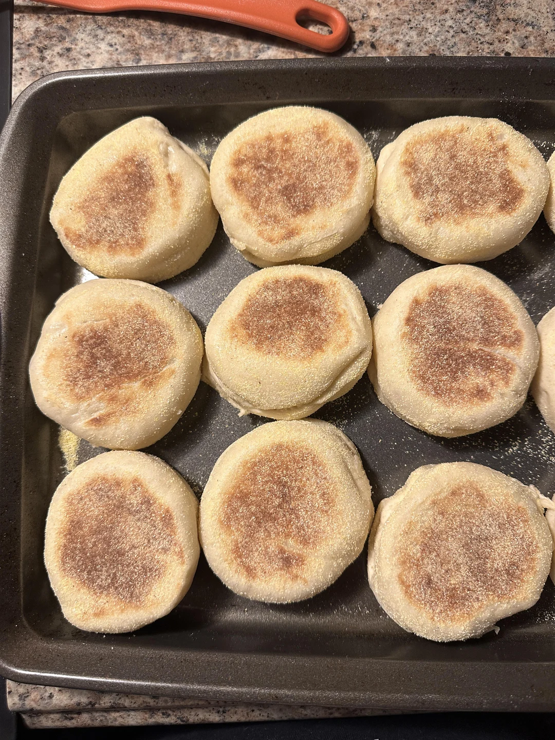 First sourdough English muffins! | Scrolller