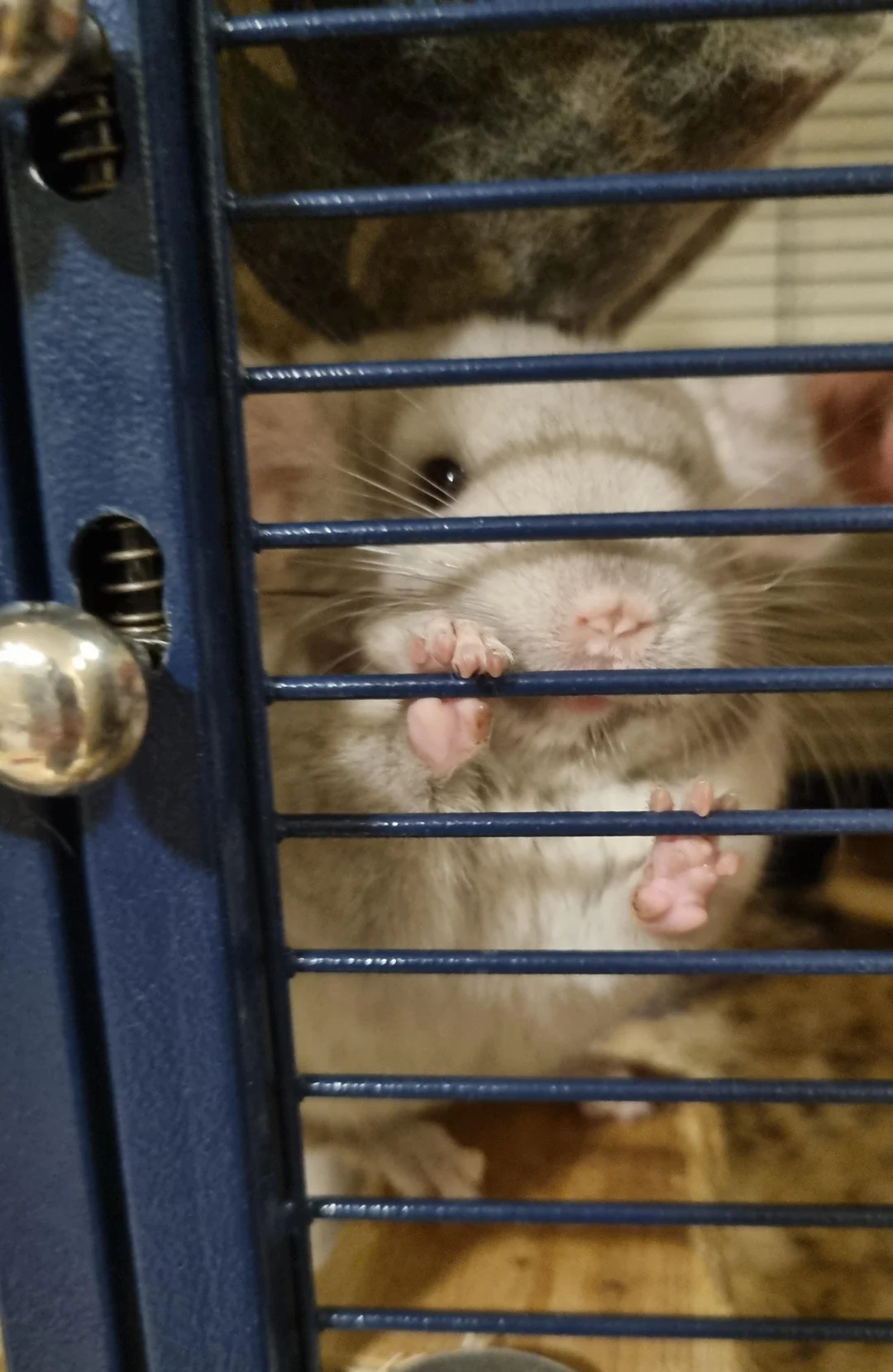 She's so cute | Scrolller