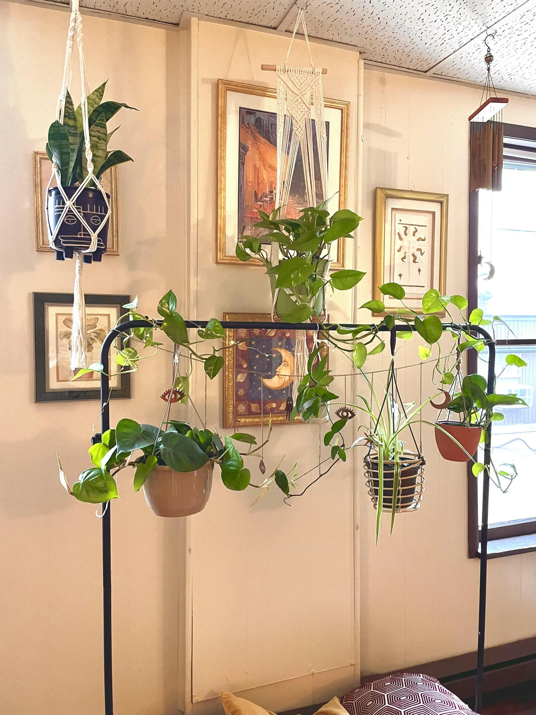 I finally figured out a plant setup that my cats can’t reach! | Scrolller