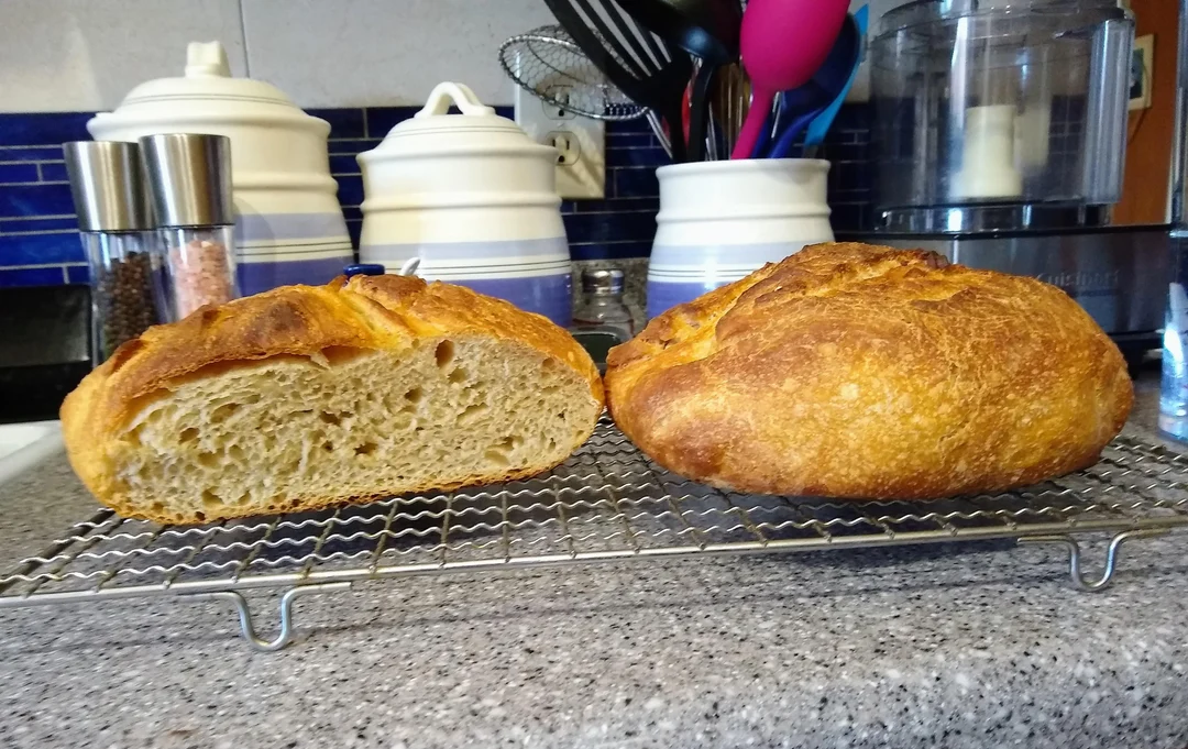 First Sourdough Attempt | Scrolller