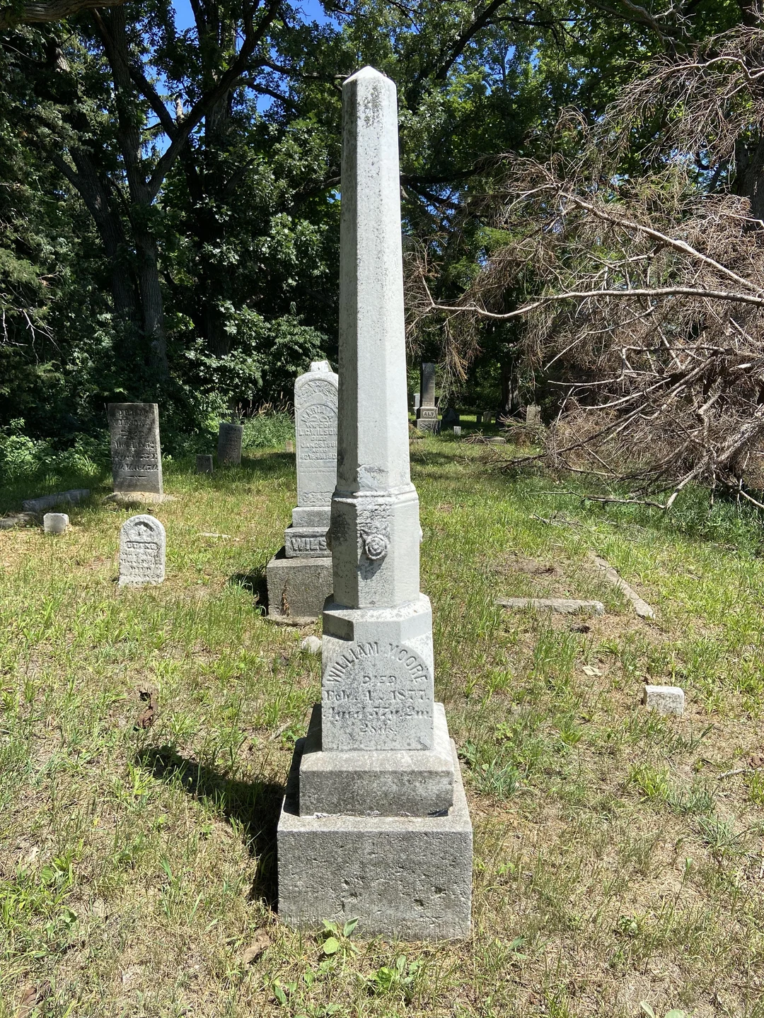 My friend and I cleaned graves in an abandoned cemetery in Iowa. Here is the result after a year ...