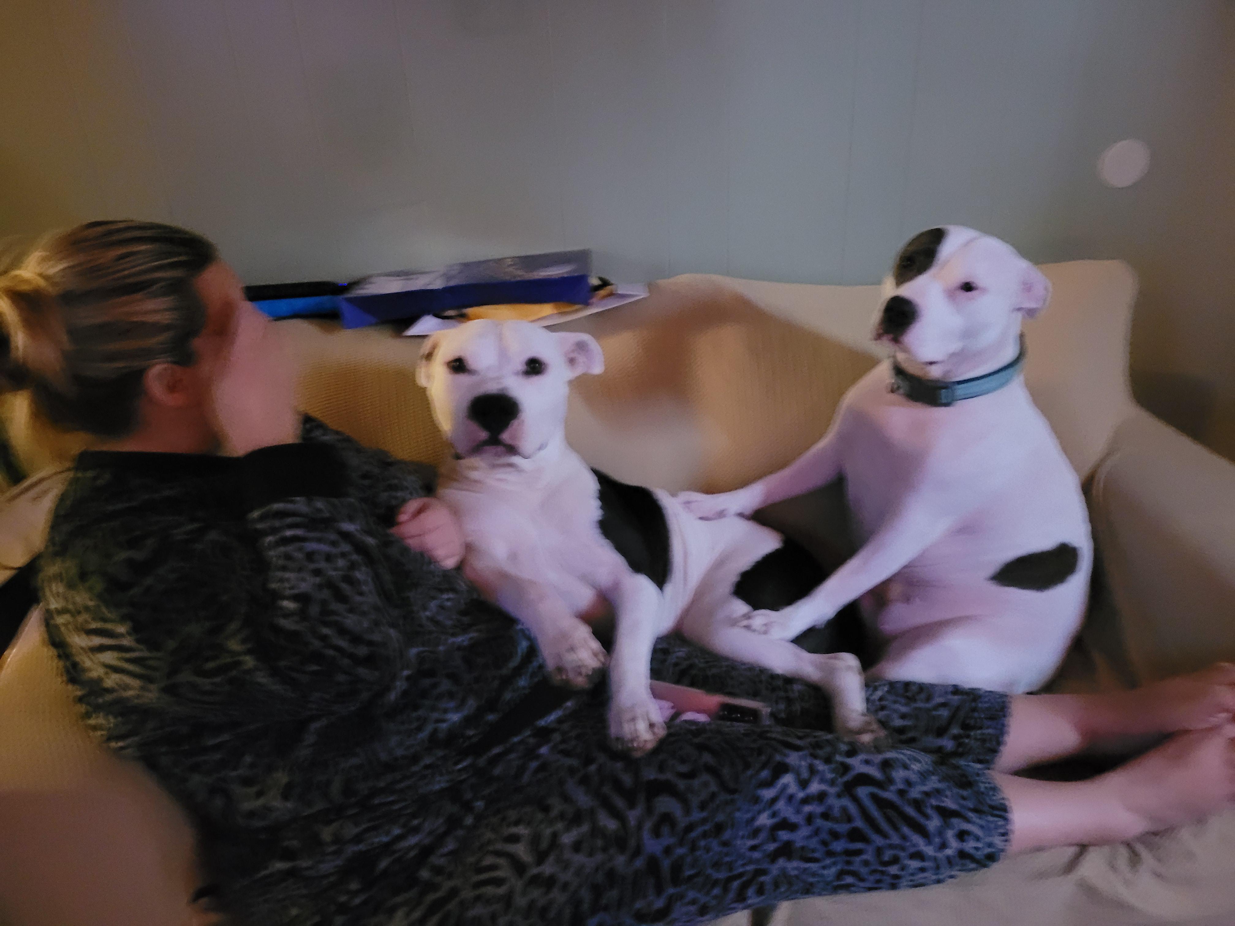 What even is personal space? | Scrolller