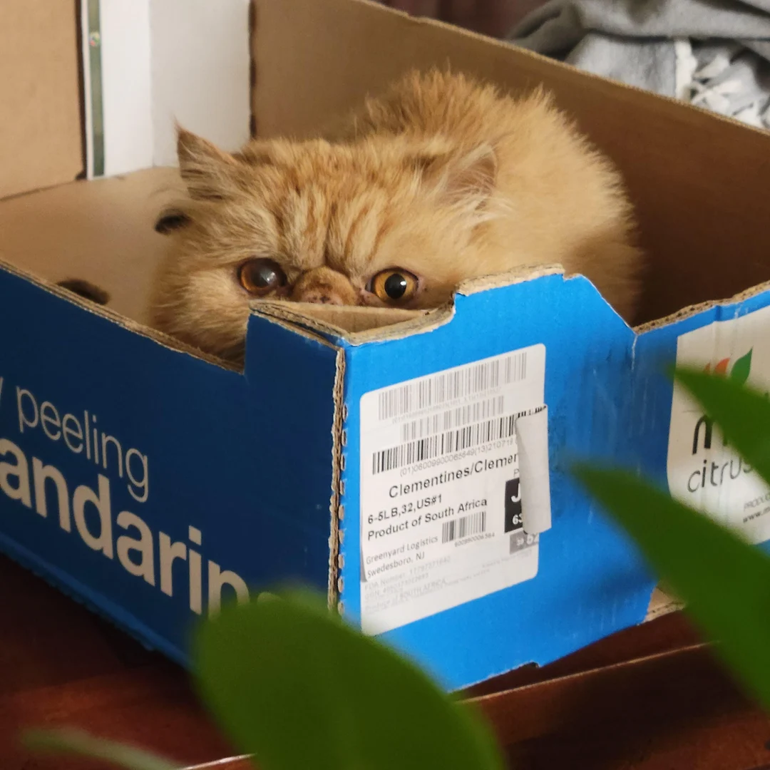 He thinks he's so sneaky | Scrolller