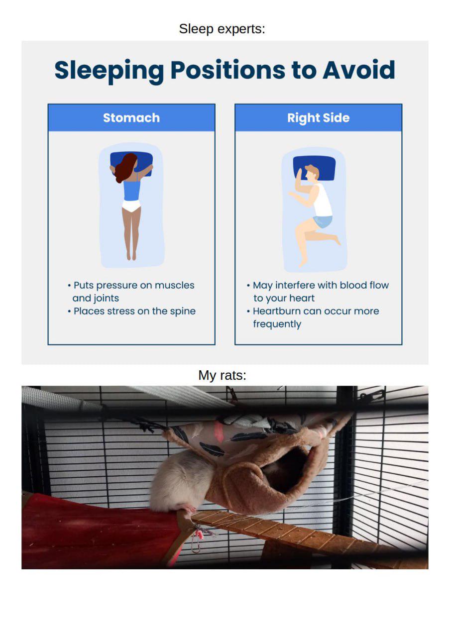 Sleep positions | Scrolller