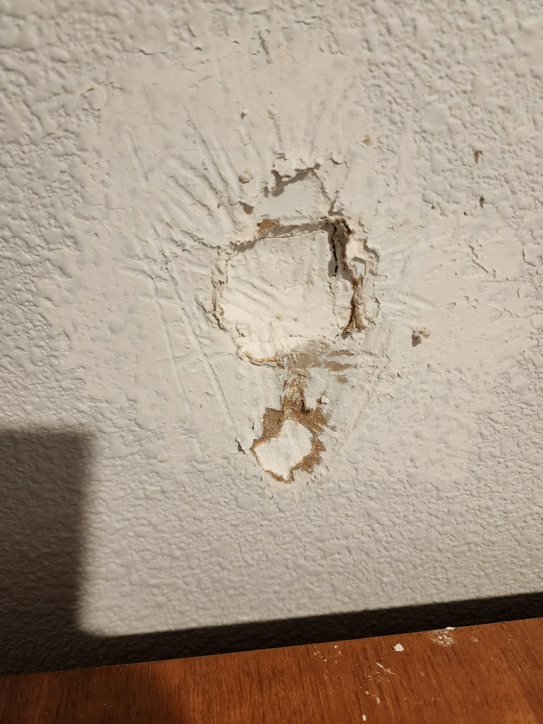 Discover more like Husky: My Husky ate part of the drywall. Why? and Related Content | Scrolller