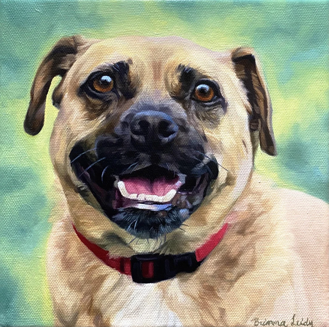 [OC] I just finished this oil painting of Mikey the pug mix :) ️ | Scrolller