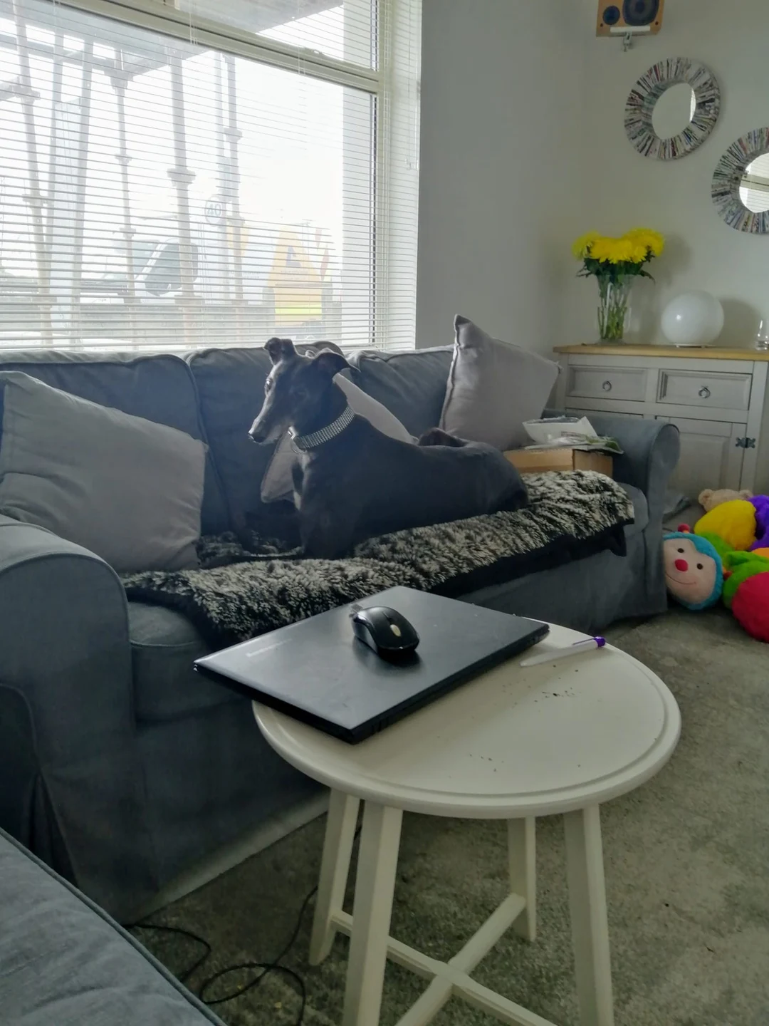 Our Beautiful Woody | Scrolller