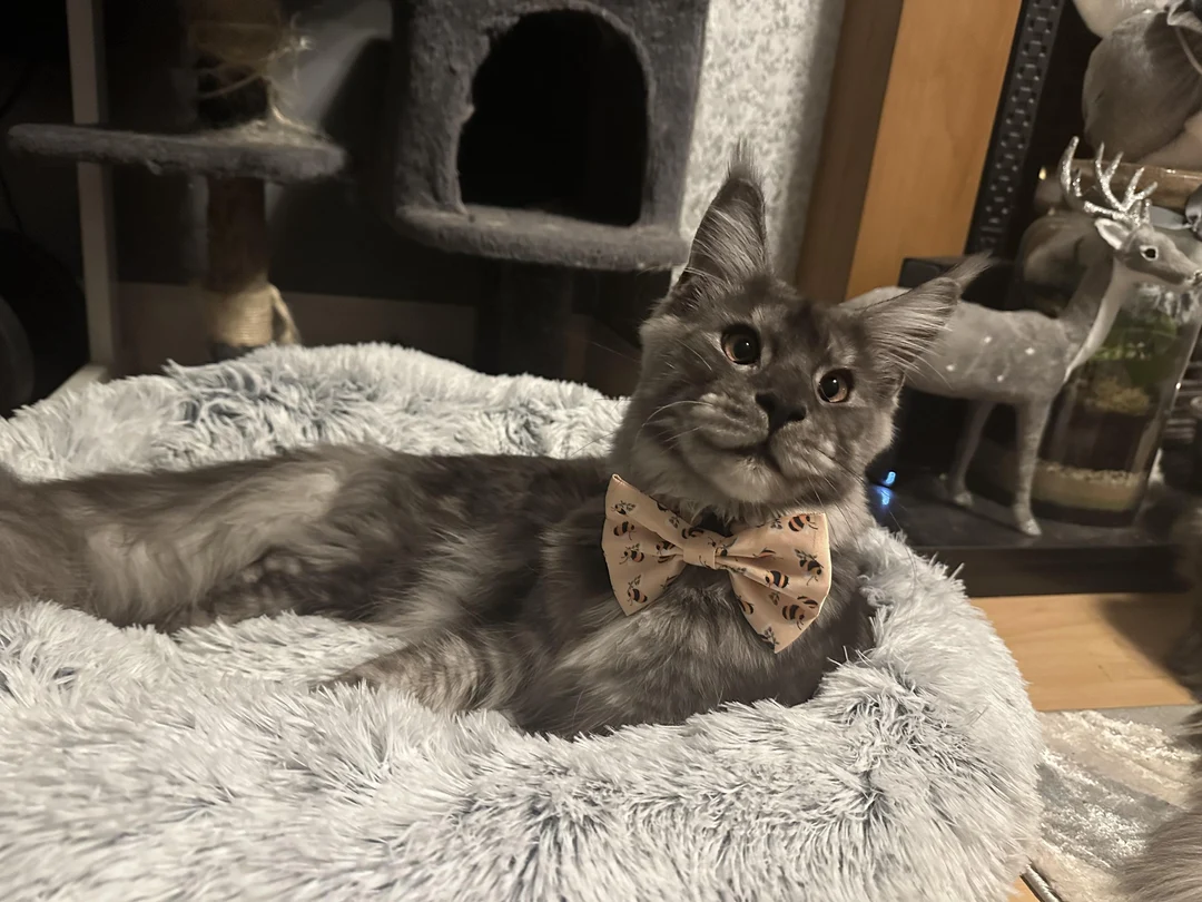 My beautiful Timmy | Scrolller