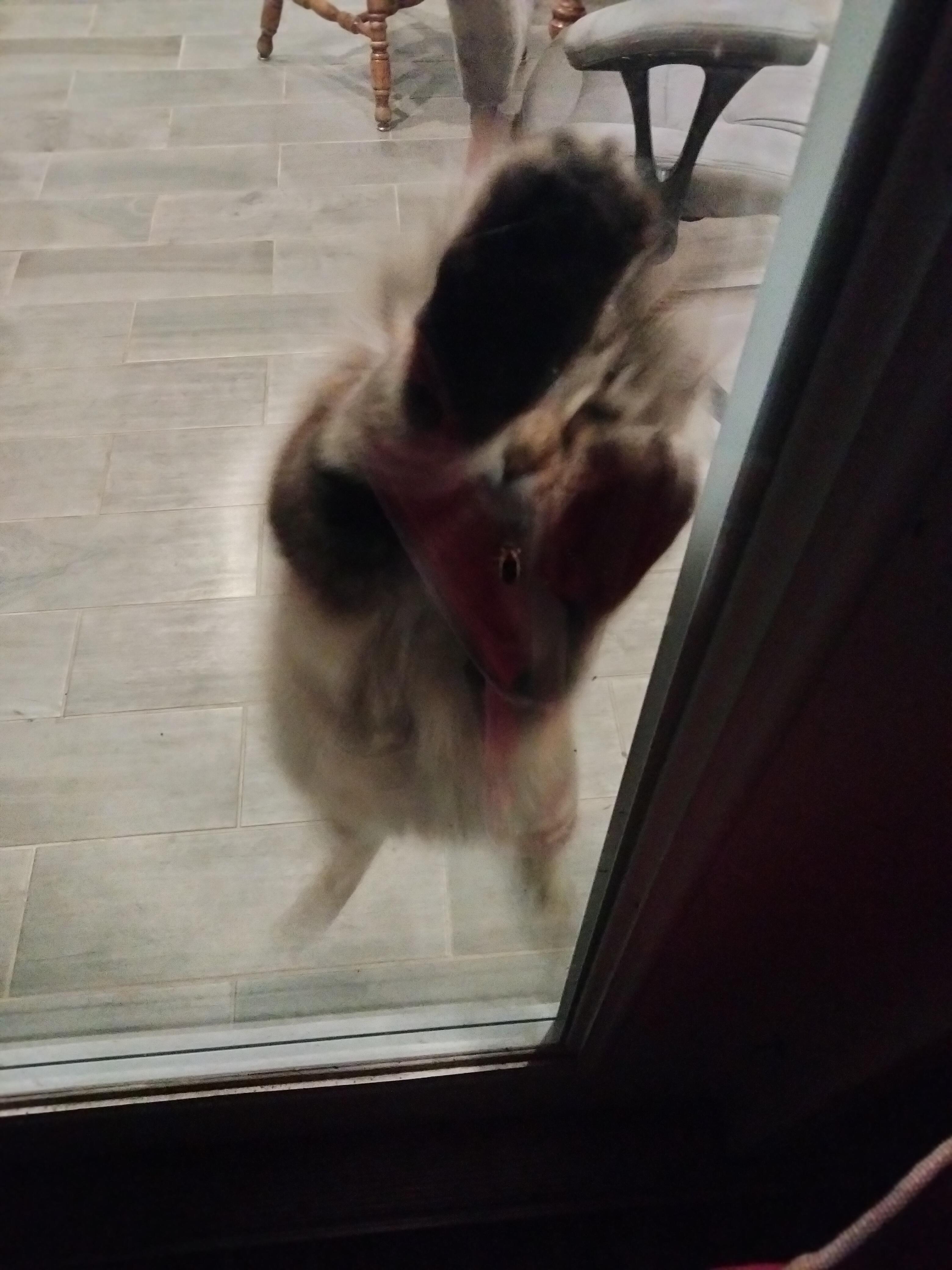 Floof attack | Scrolller