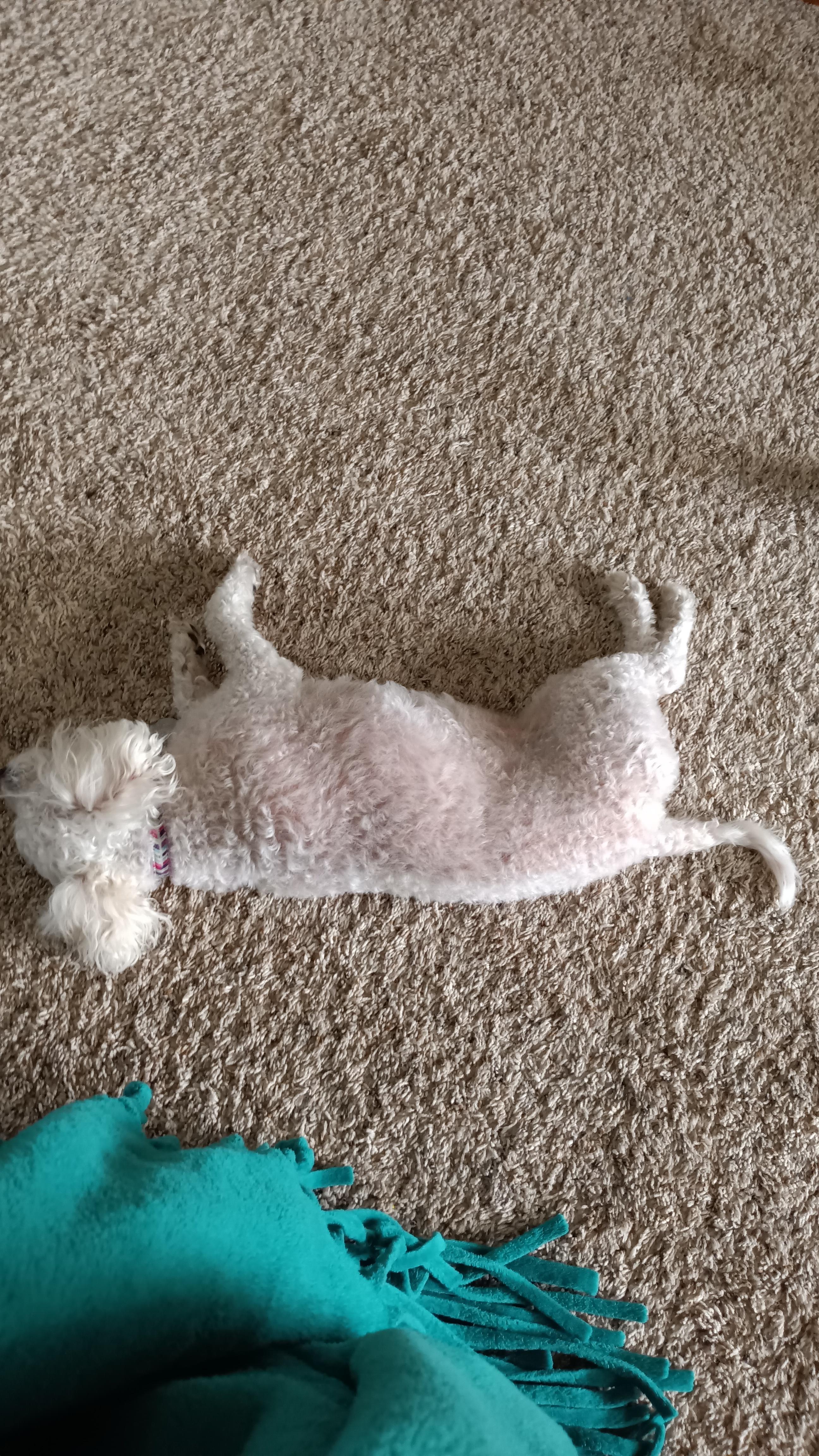 She dead | Scrolller