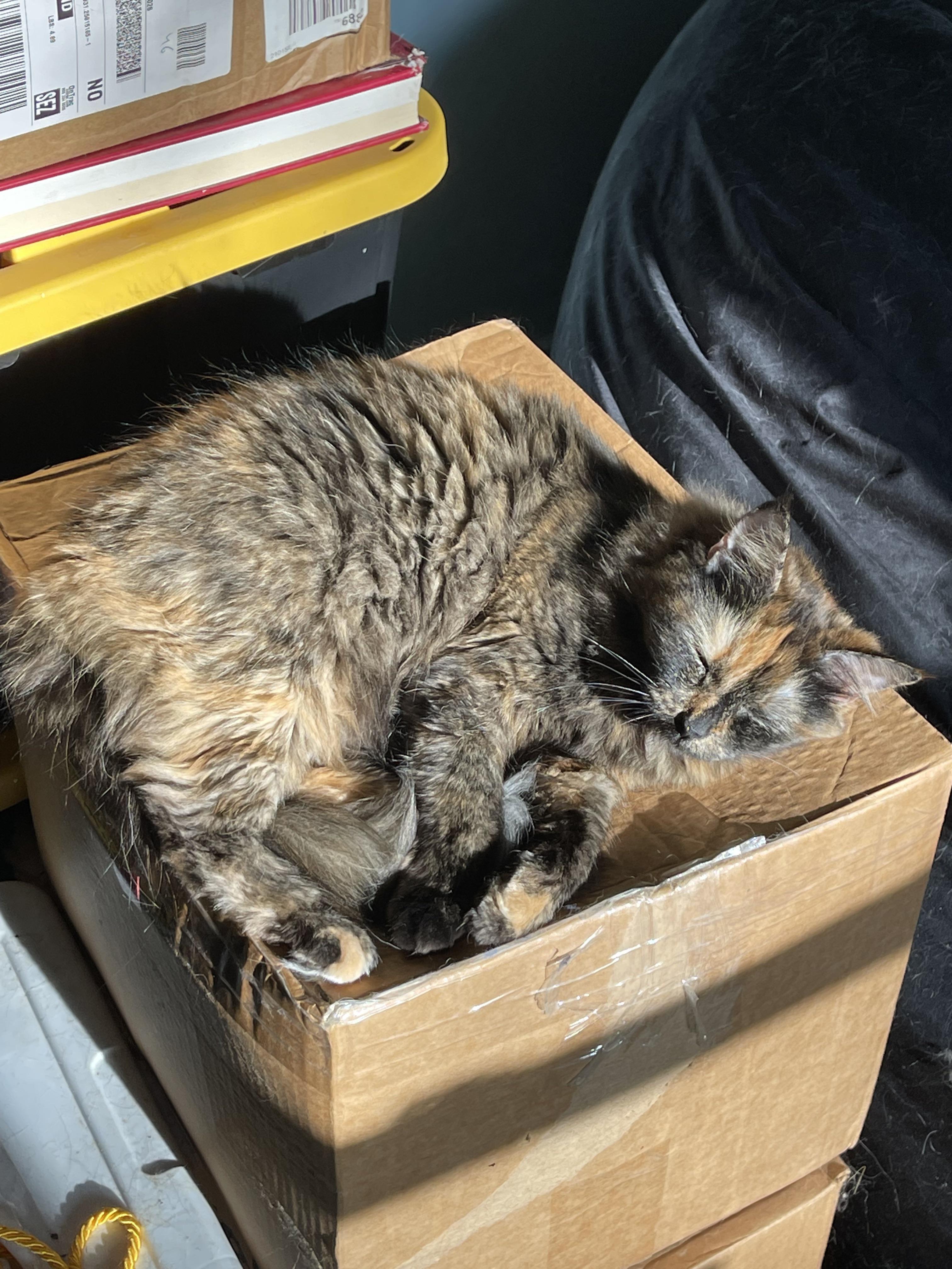 Basking in the sun | Scrolller