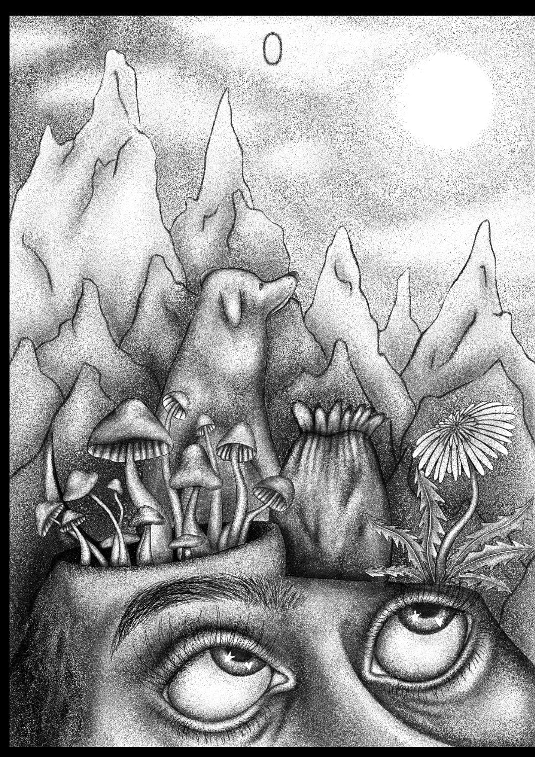 The Fool | Scrolller