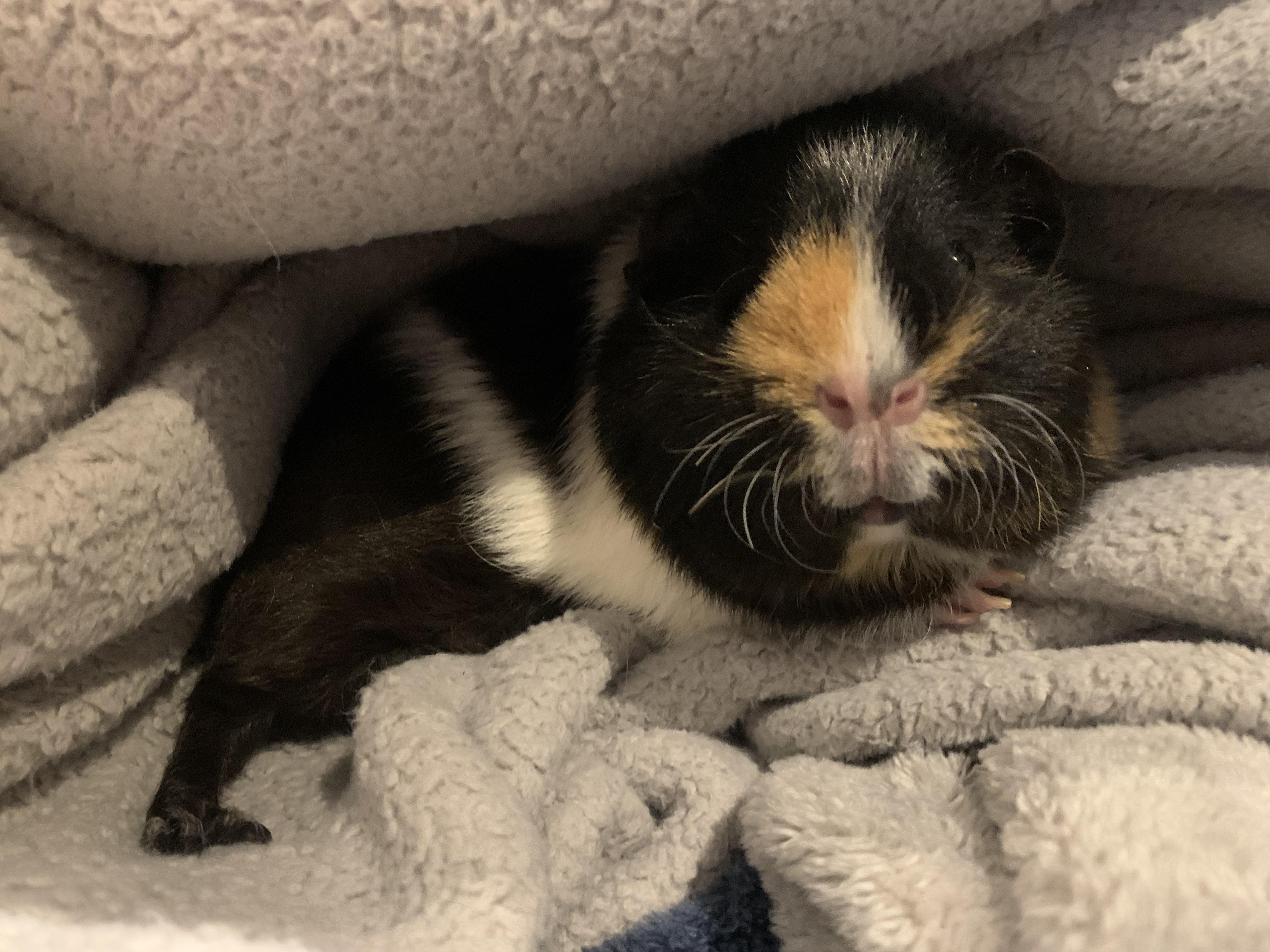 “Cookie Face” Ted is celebrating FOF! | Scrolller