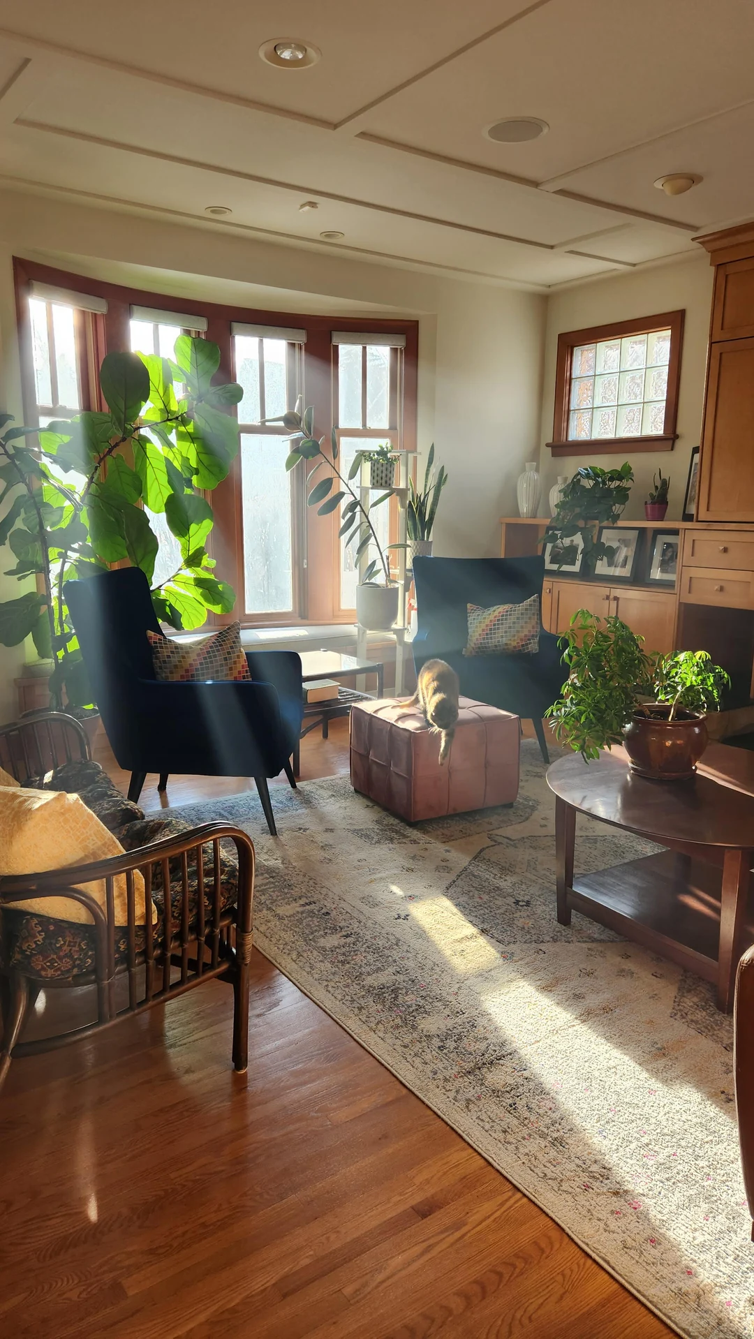 Afternoon Sunbeams | Scrolller