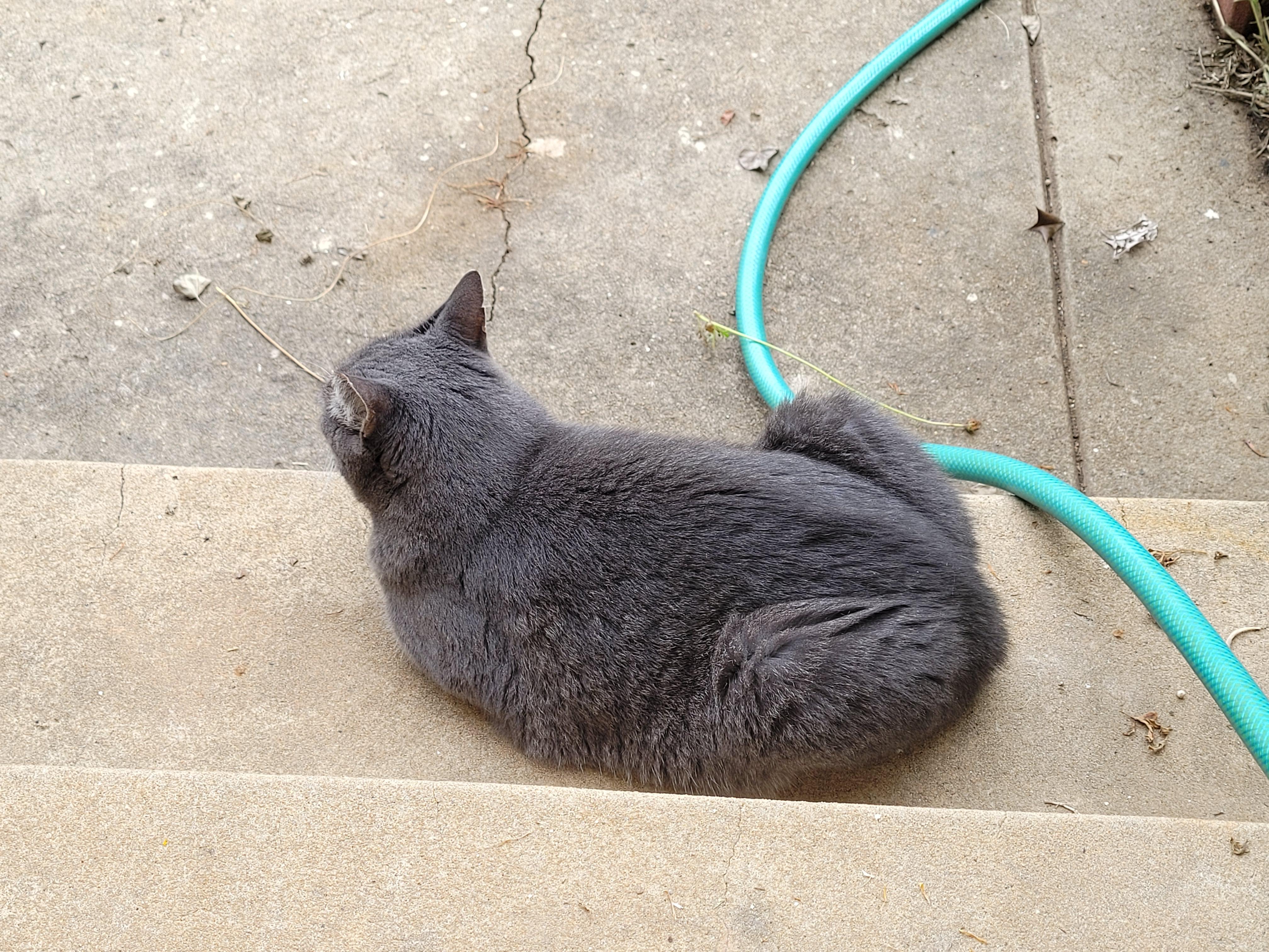 A different take on the classic loafing technique | Scrolller