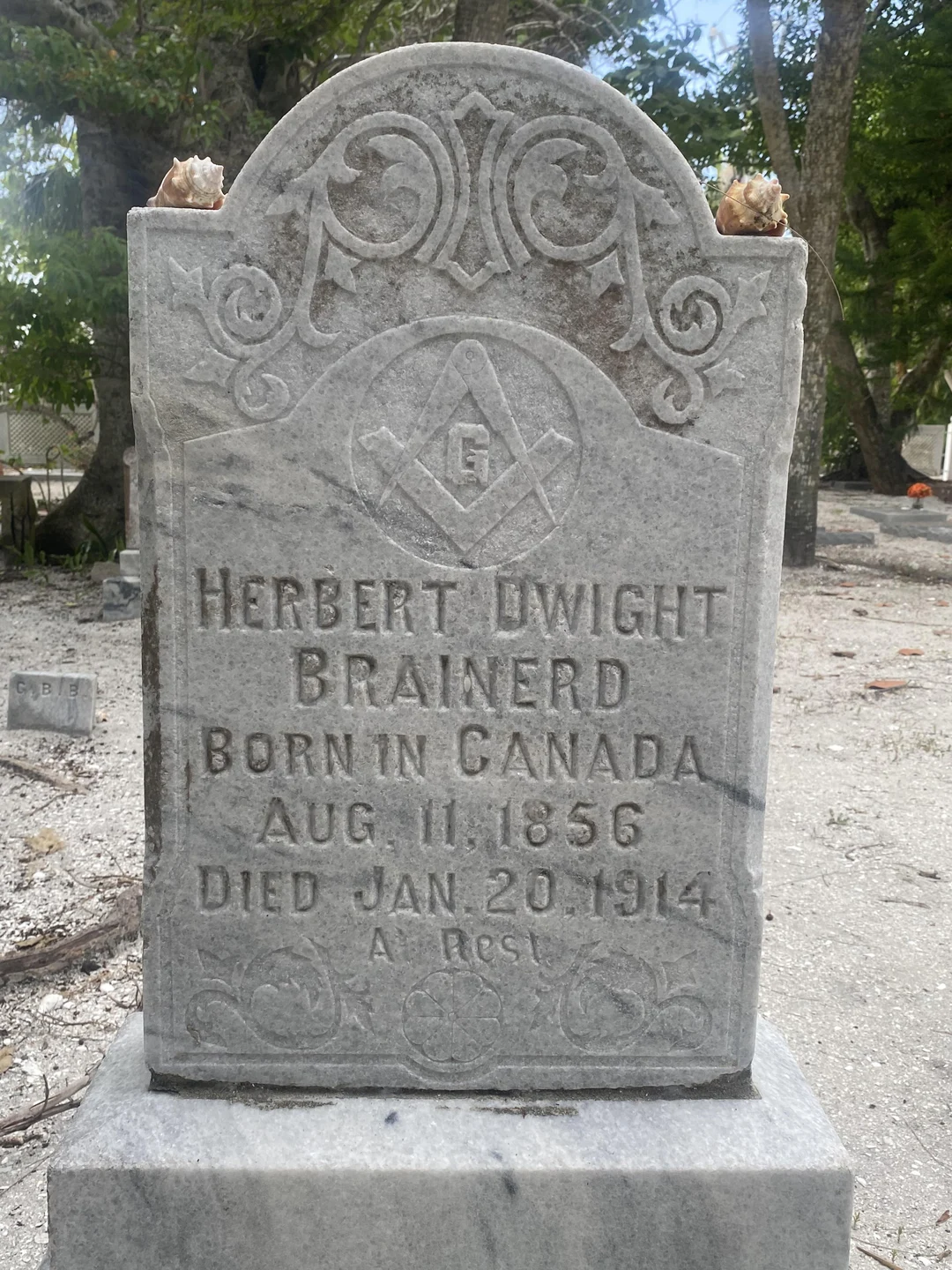 Happy Birthday Herbert! | Scrolller