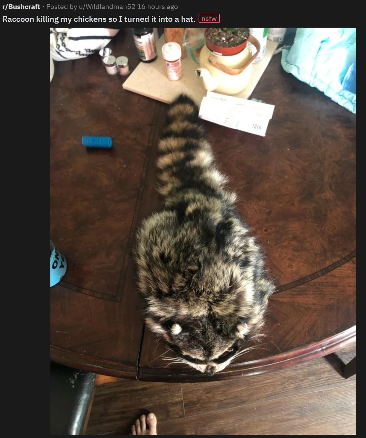 Raccoon killing madlad | Scrolller