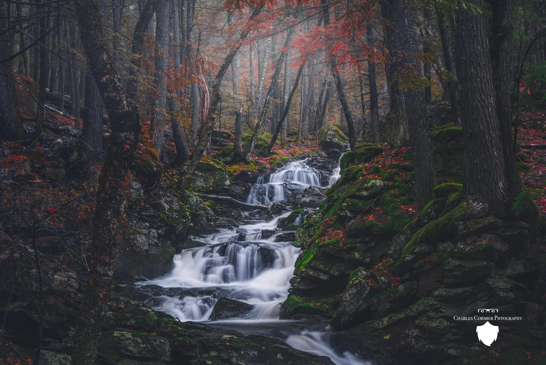 "The Secret Forest" - New Hampshire | Scrolller