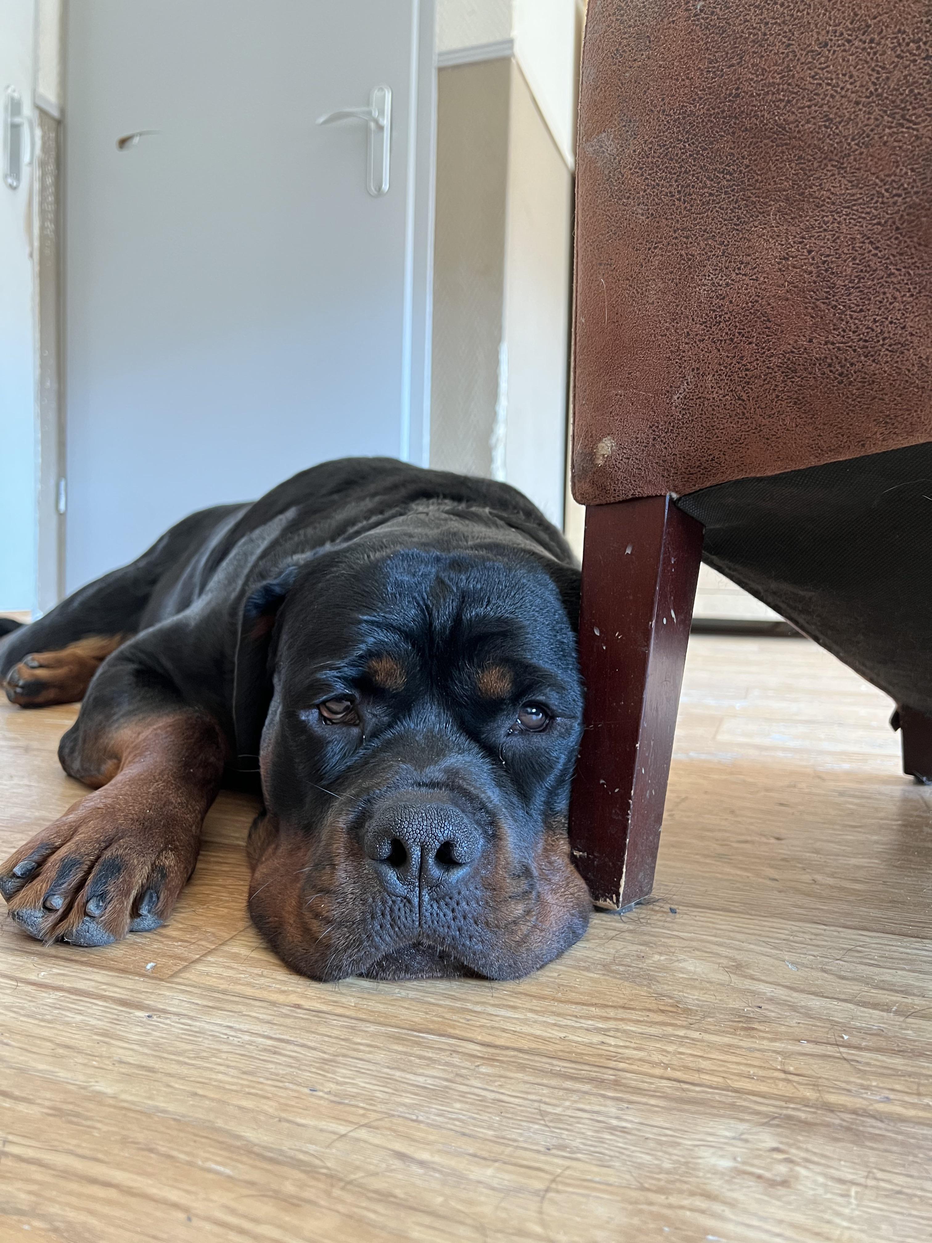 Sleepyhead | Scrolller