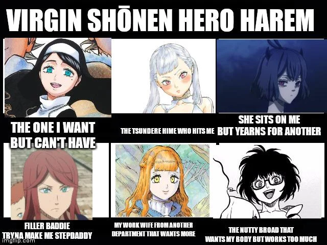 Virgin Shōnen Hero Harem | Scrolller
