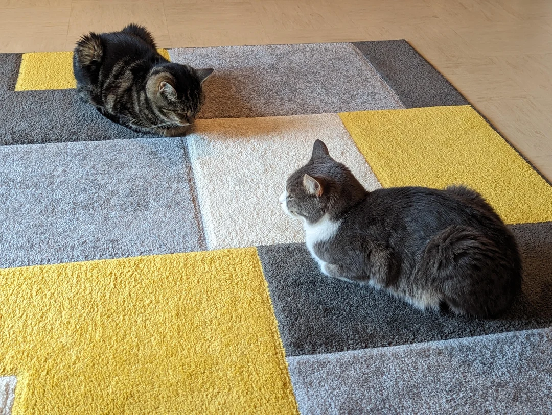 Double loaf | Scrolller