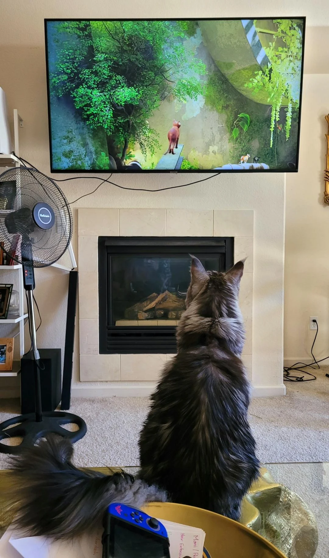 Ghost loves watching us play Stray! | Scrolller