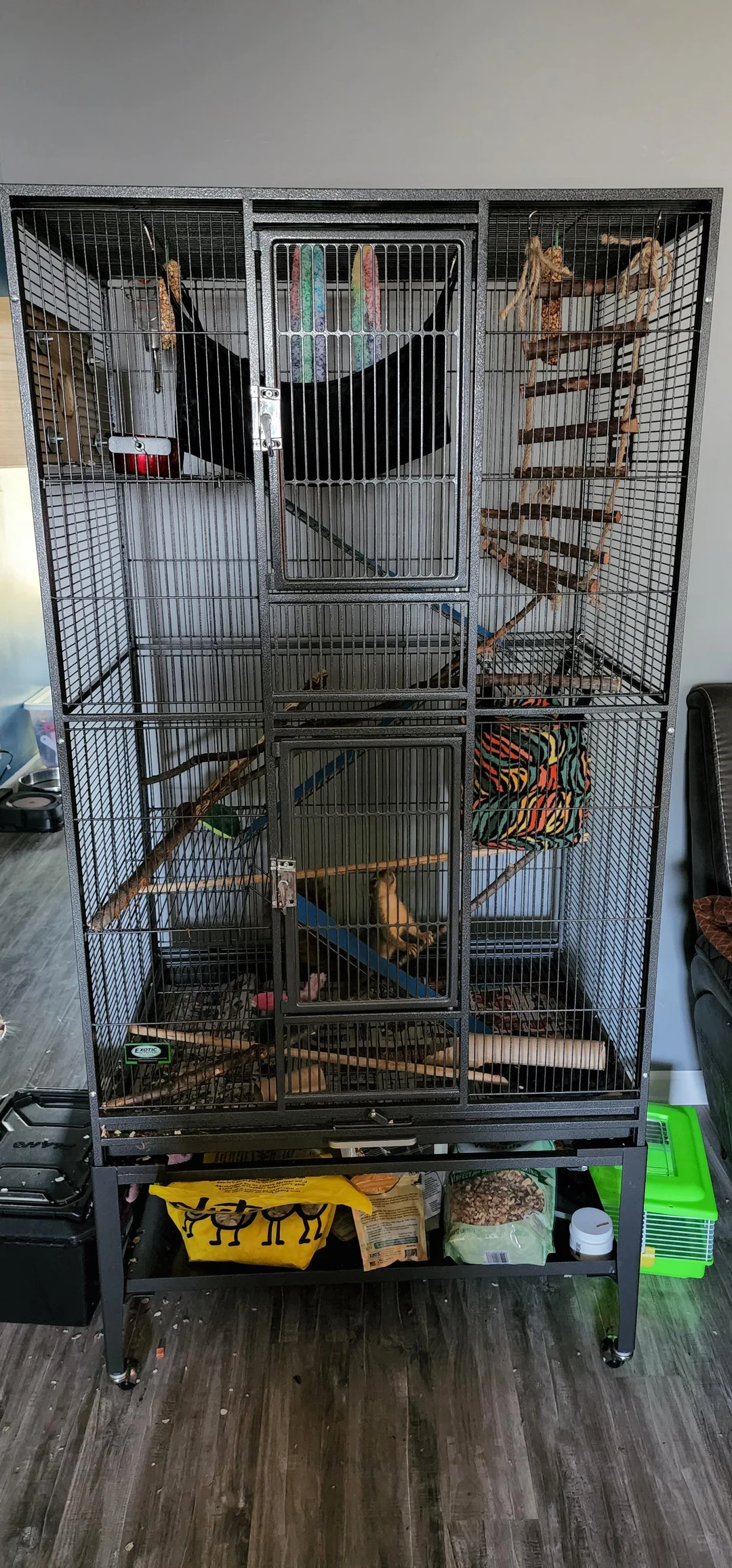 A Reminder That This Is What A Properly Sized Cage Looks Like | Scrolller